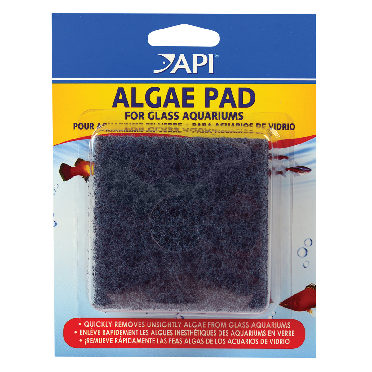 API Hand Held Algae Pad - Glass – AGE OF AQUARIUMS LIVE FISH AND PLANTS