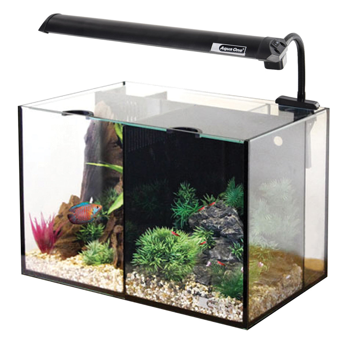 Aqua One Betta Duo/Trio Aquarium Kits *Pickup Only *Special Order Only ...