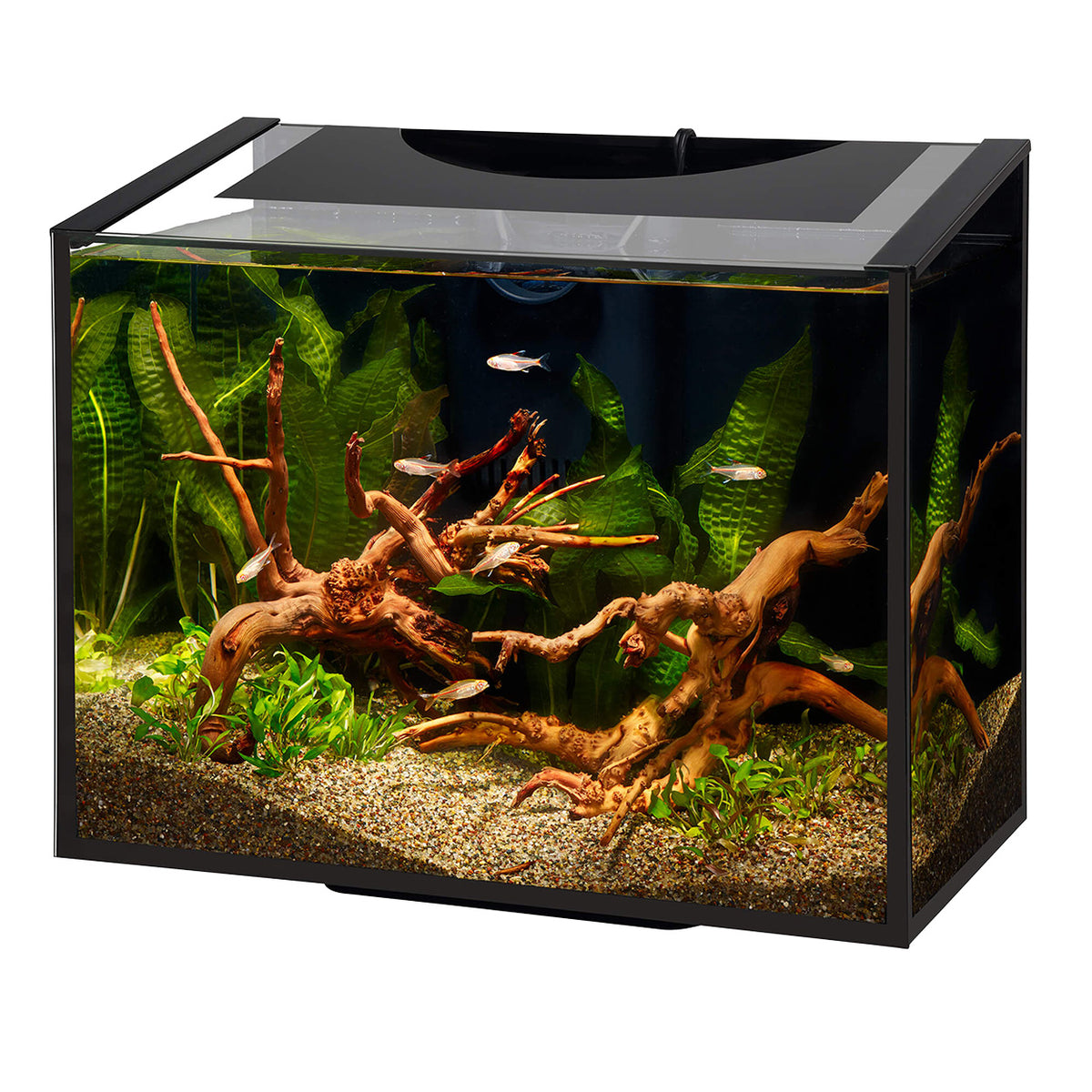 Aqueon Ascent Frameless Aquarium Kits * Pickup Only * Special Order On ...