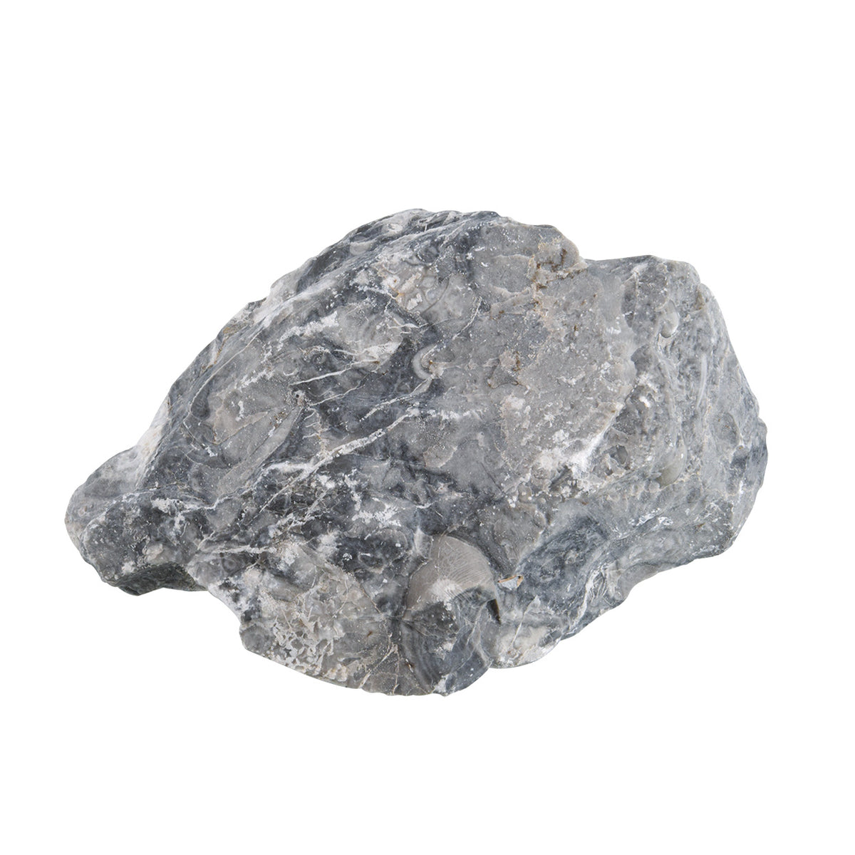 Sunk Jade Rock * Free Shipping – AGE OF AQUARIUMS LIVE FISH AND PLANTS