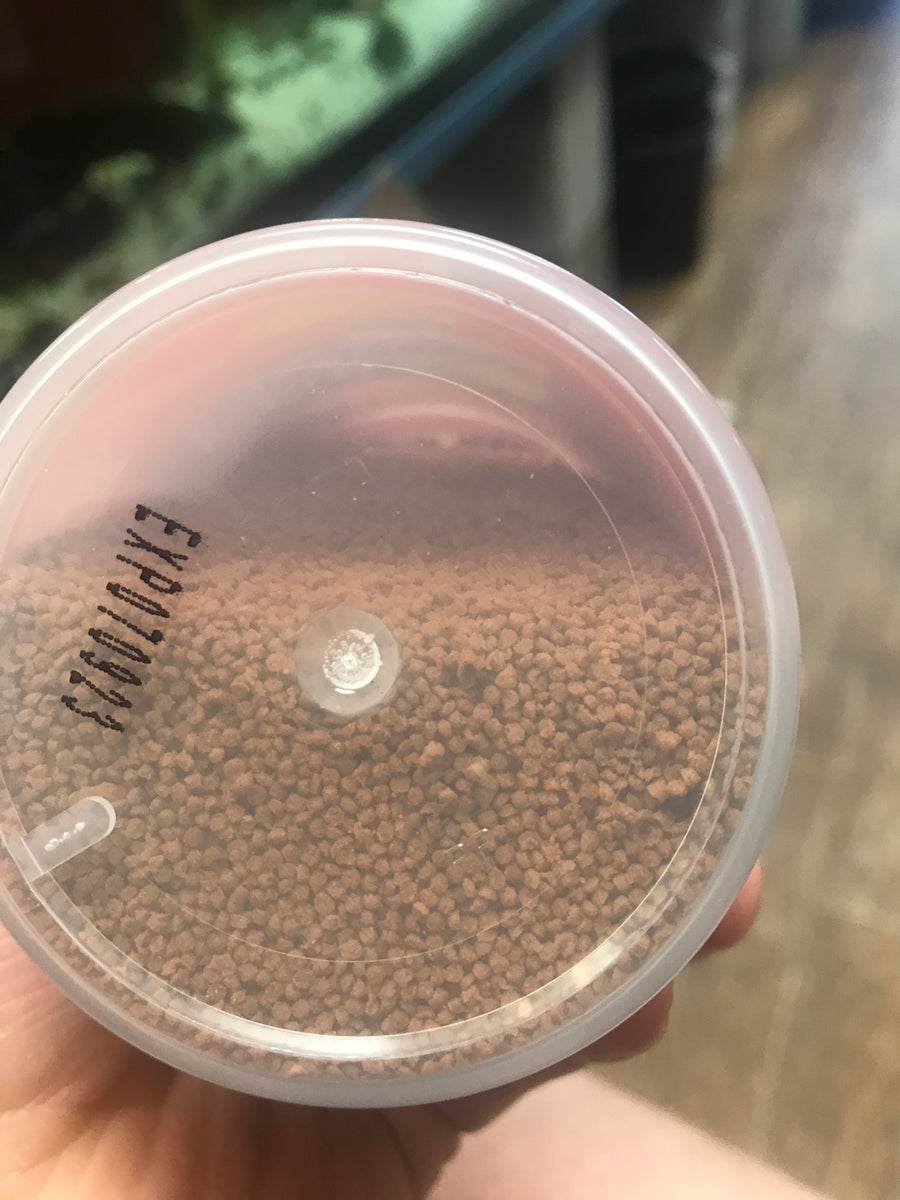 Omega One Super Color Mini Pellets – AGE OF AQUARIUMS LIVE FISH AND PLANTS